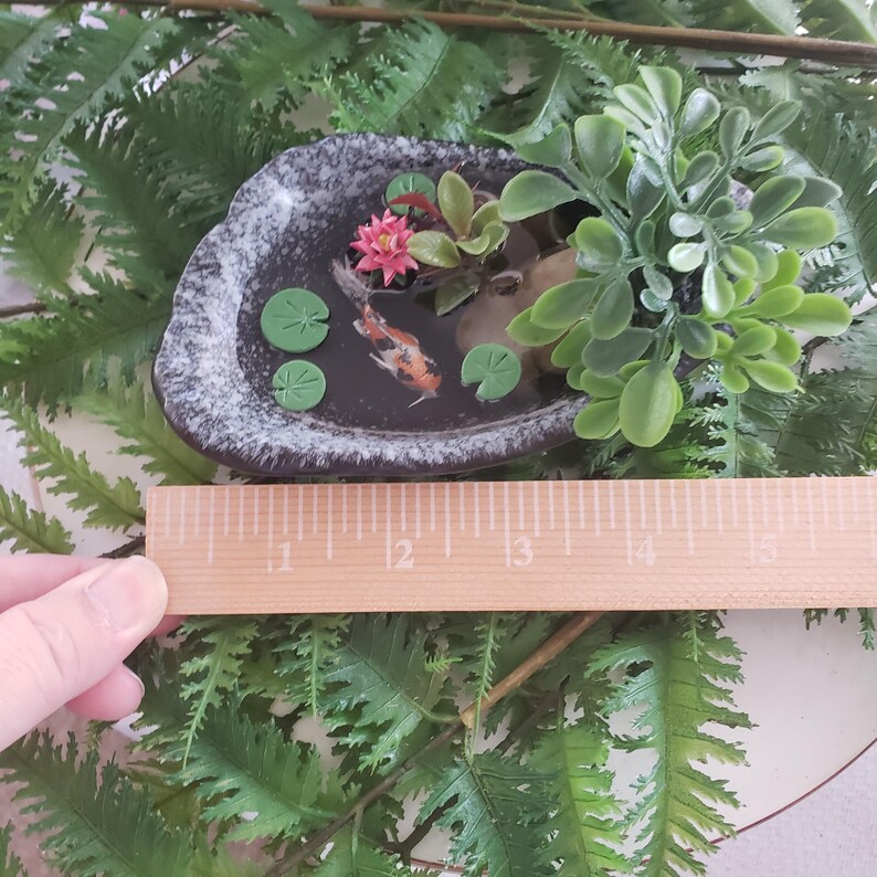 Miniature Koi Pond the Oyster Shell - Etsy