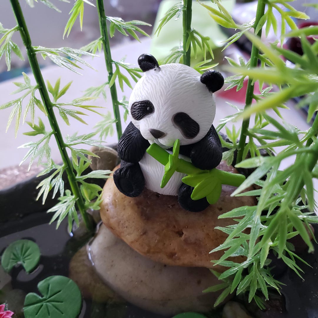 Handmade Miniature Panda Koi Pond: Bamboo Forest Scene - Etsy