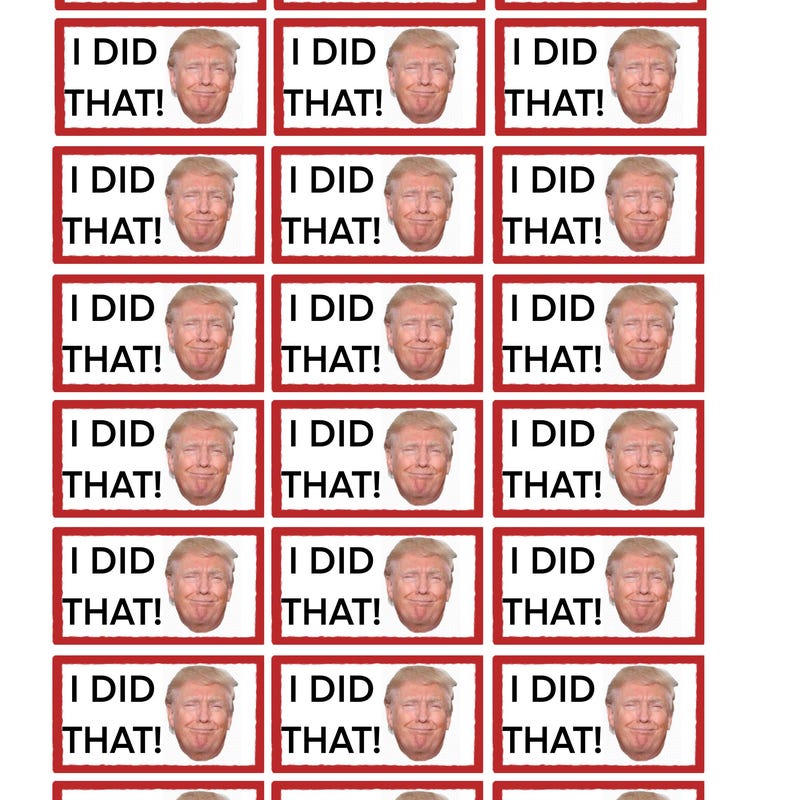Trump Stickers I Did That - Etsy