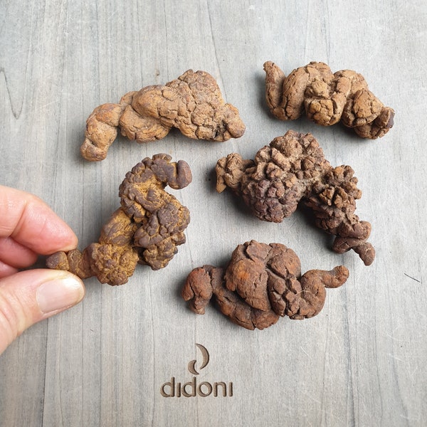 Dinosaur Dung - Etsy