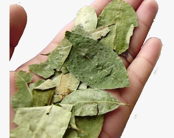 Coca Leaves Powder - Etsy
