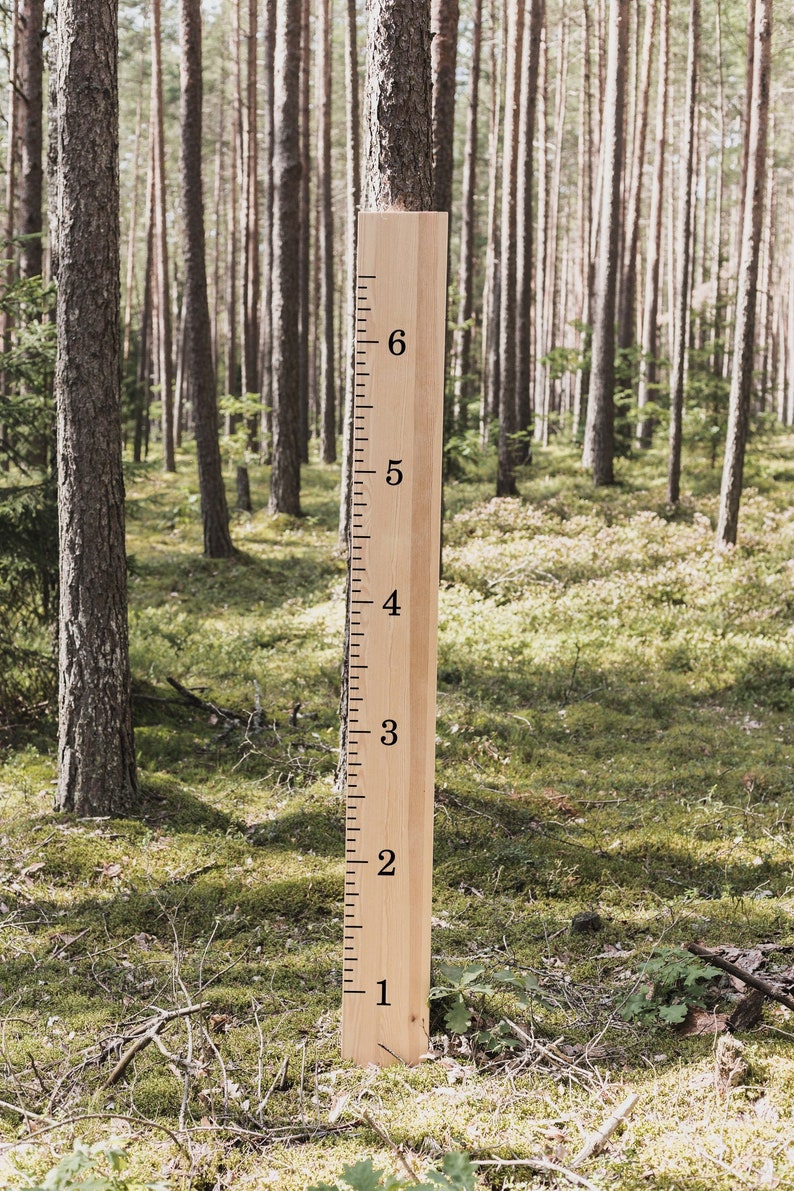 Growth Chart Ruler Vinyl Decal Kit Growth Chart Decal - Etsy