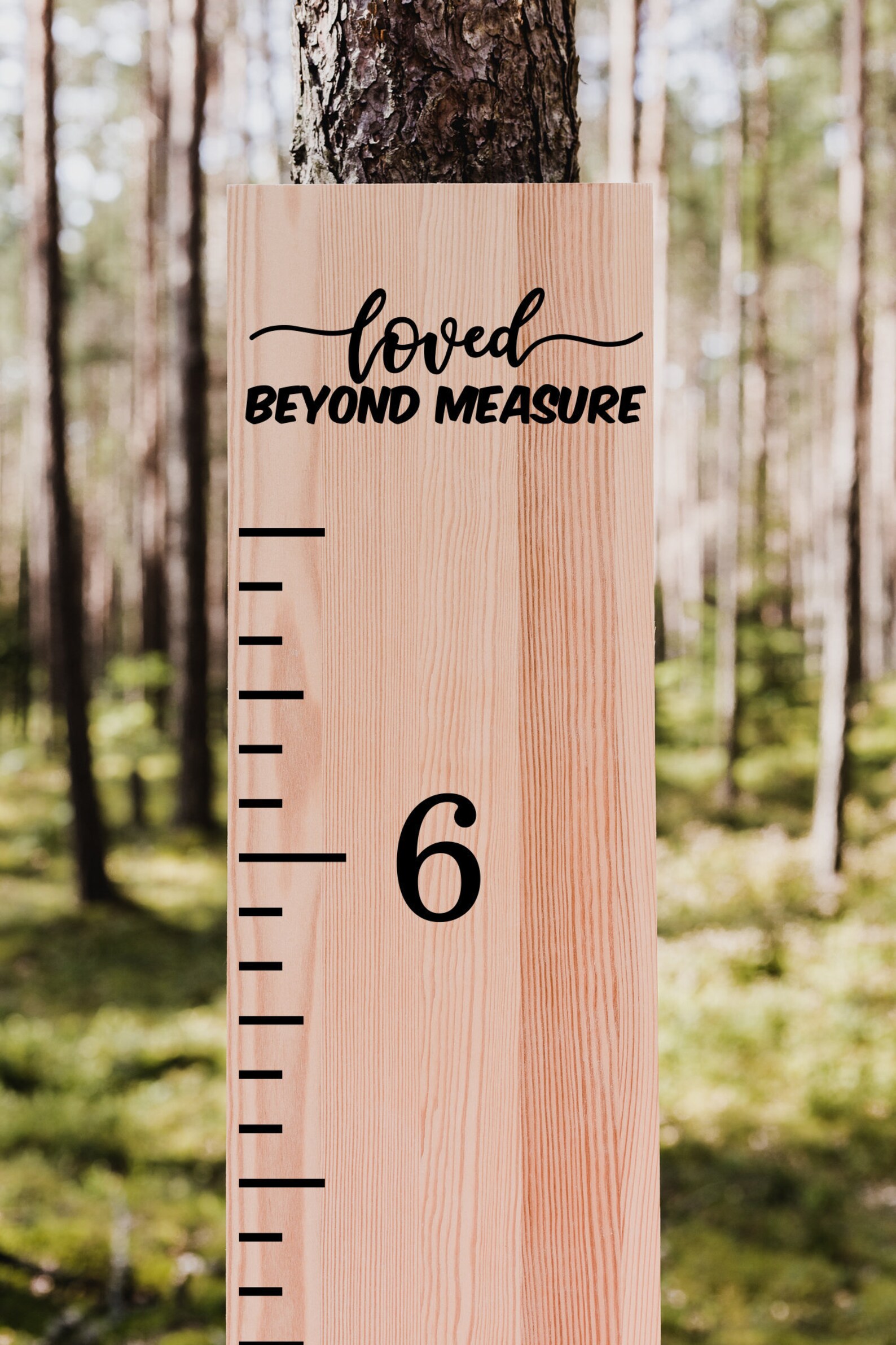Growth Chart Ruler Add-on Loved Beyond Measure Decal, Top Header - Etsy