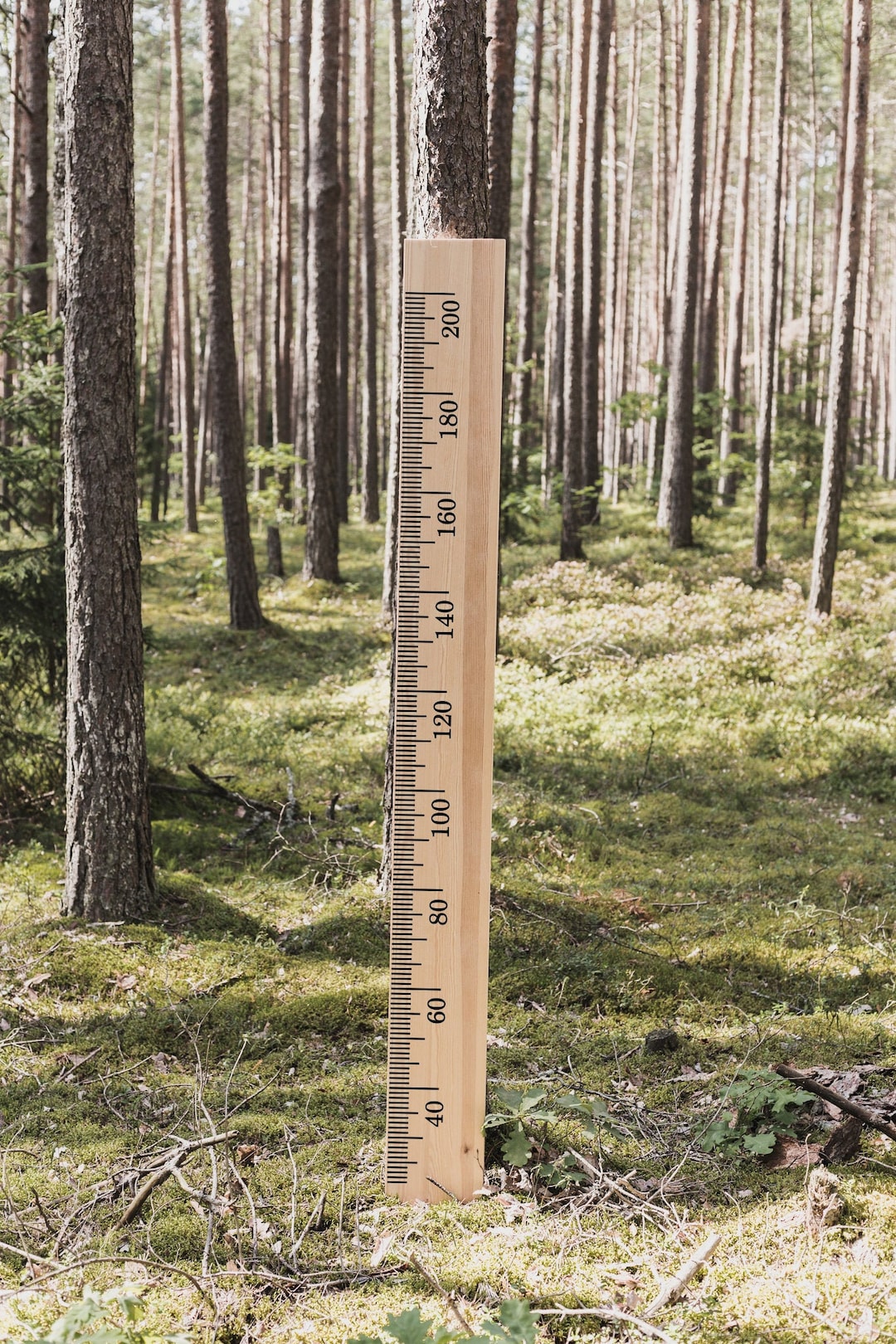 Metric Growth Chart Ruler Decal Kit, Growth Chart Decal for Kids ...