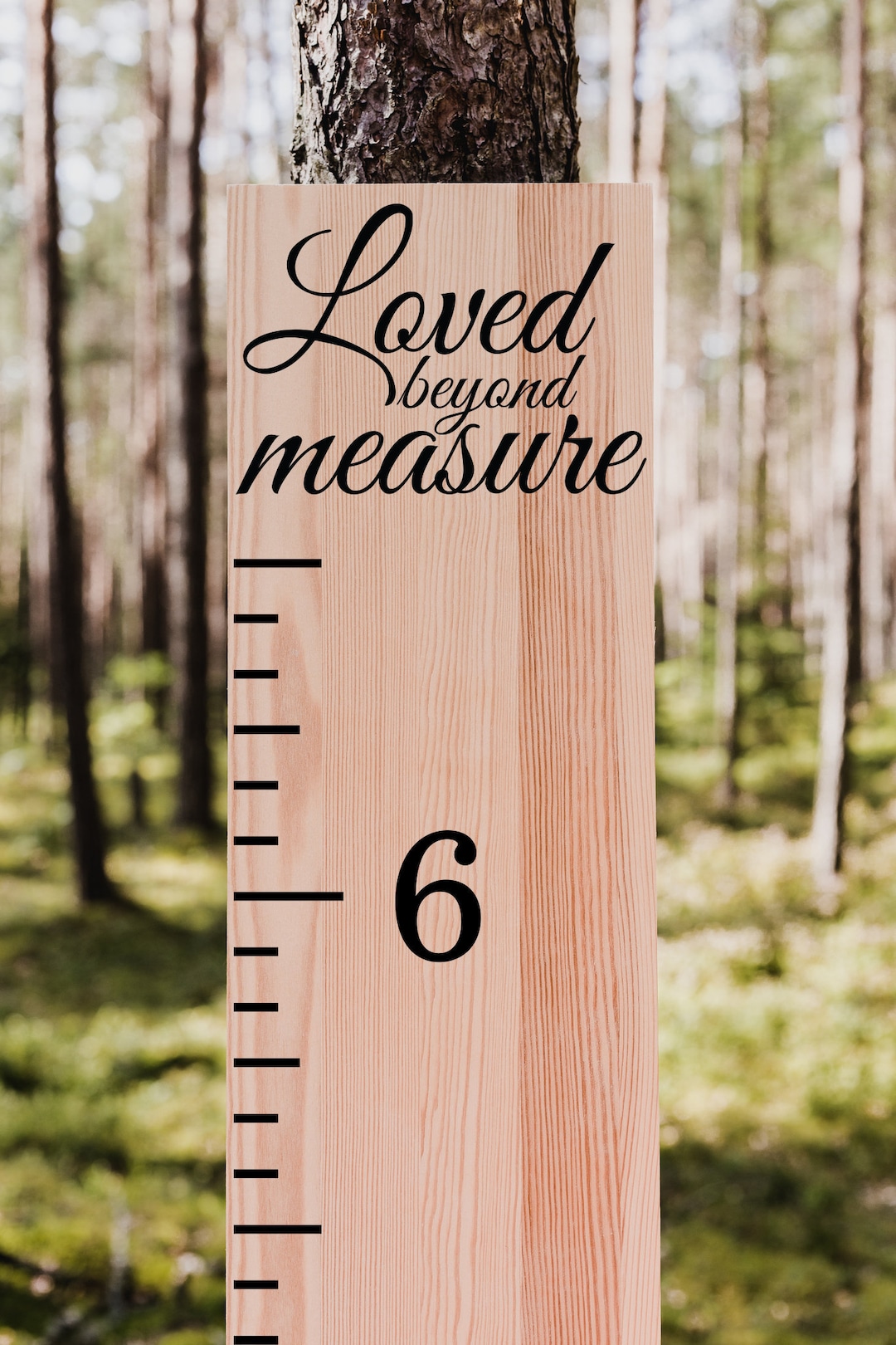 Growth Chart Ruler Add-on Loved Beyond Measure Decal, Top Header - Etsy
