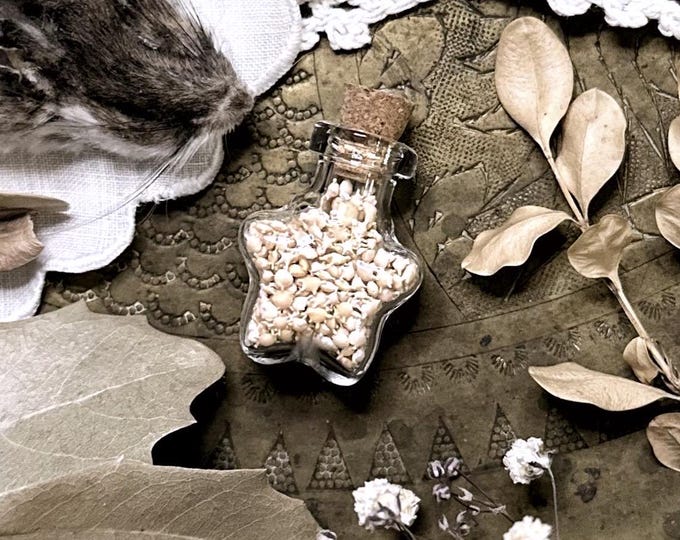 Tiny Star Sand in Star Shaped Glass Vial, Sand From Okinawa Japan ...