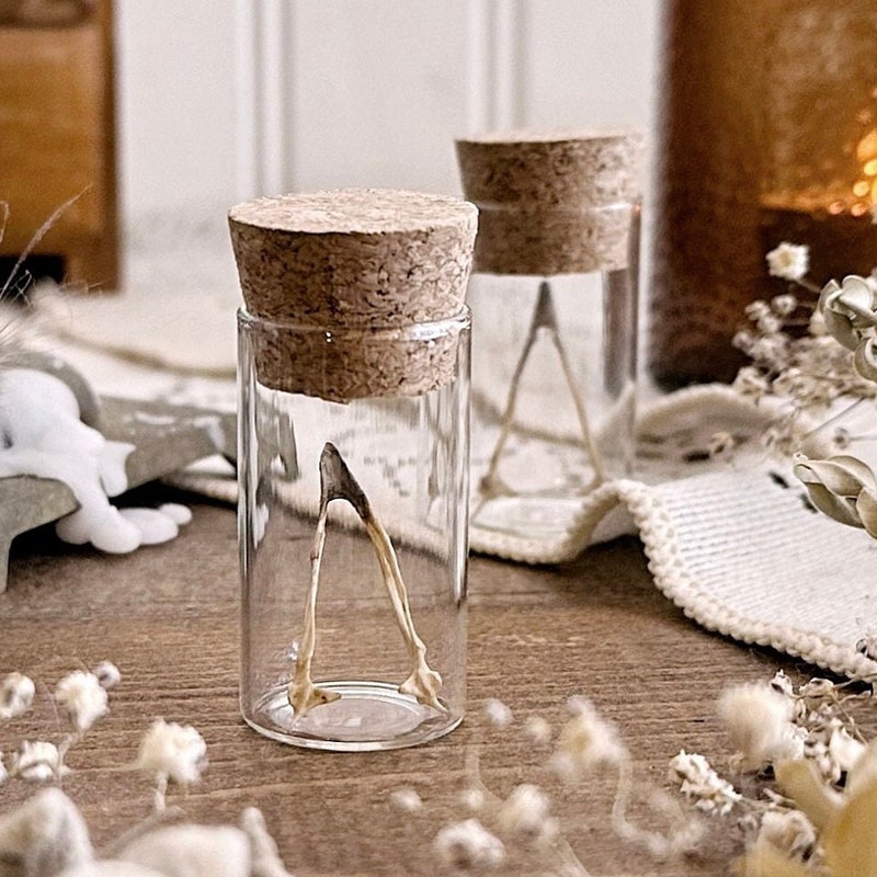 boneandbloom (Ships from: the US) - Etsy