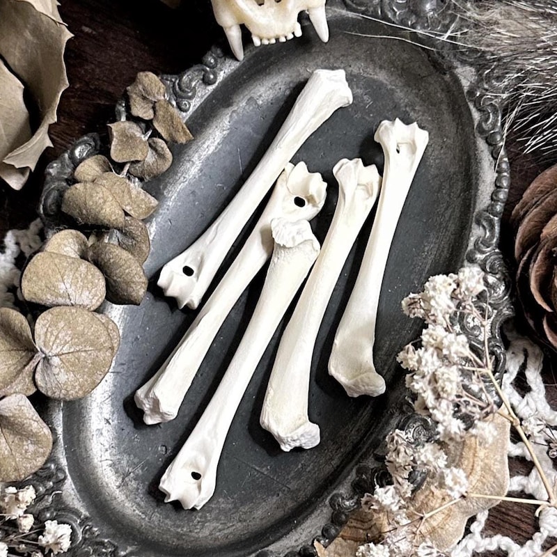 Rabbit Oddity Bone - Etsy
