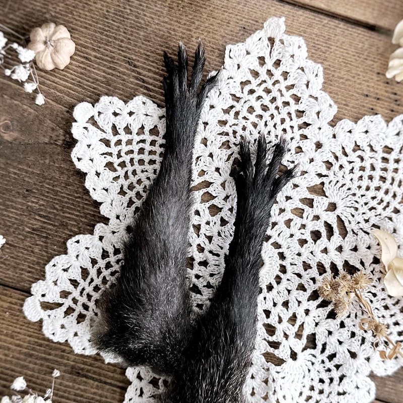 Squirrel Feet - Etsy
