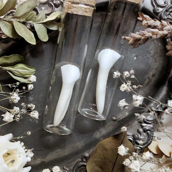 Tooth Decor - Etsy