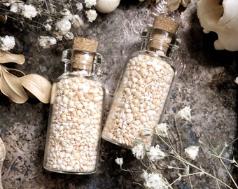 20g / Okinawa Star Sand / SUPER RARE / 100% Genuine & Natural ...