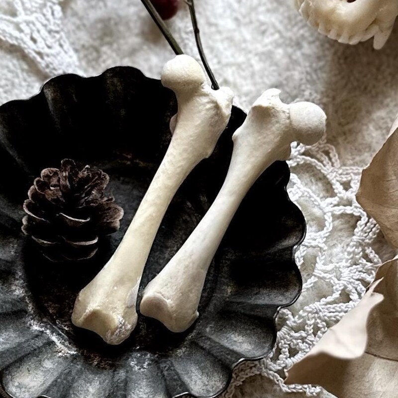 boneandbloom - Etsy