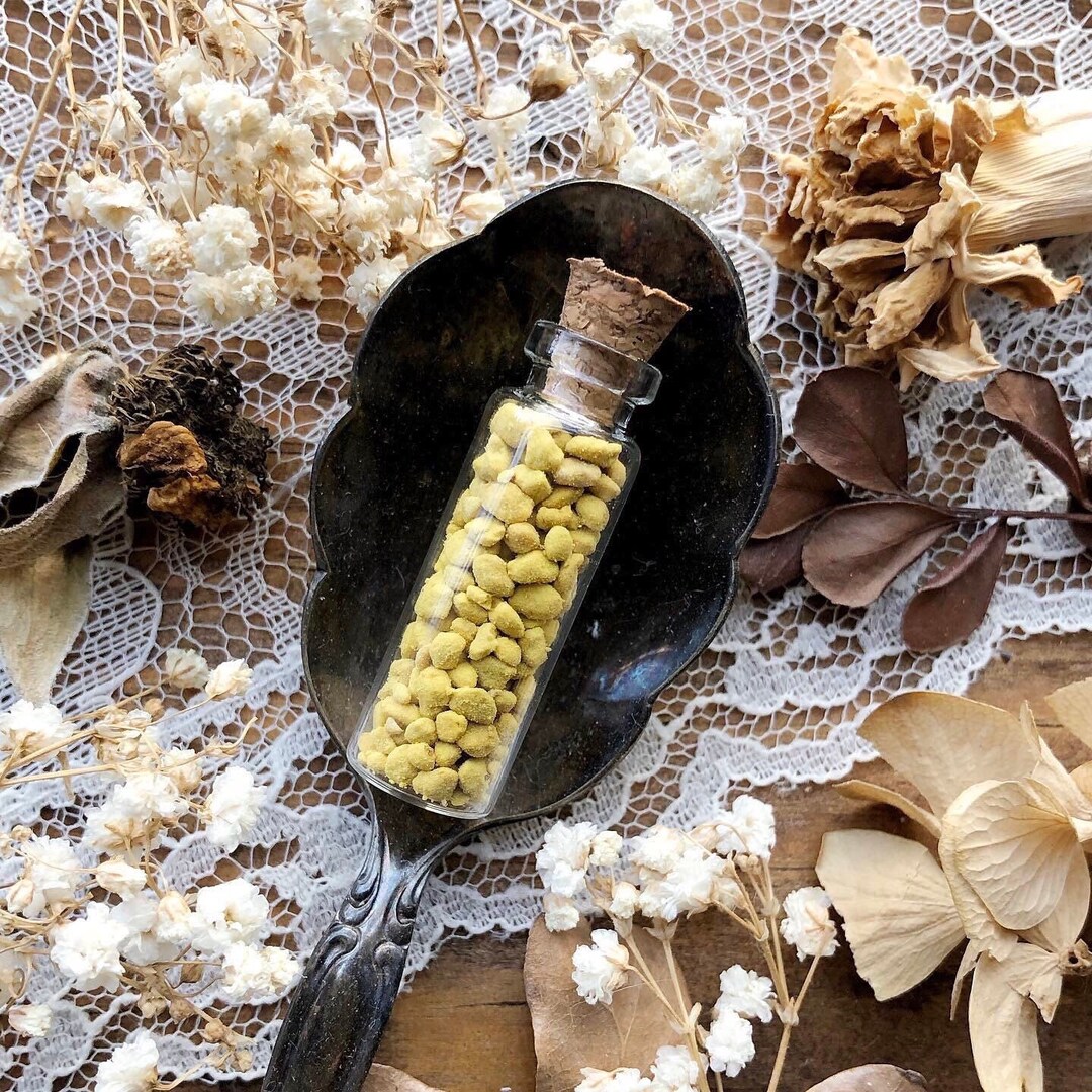 Tiny Bee Pollen Vial No. 01, Honey Bee Pollen, Natural History ...