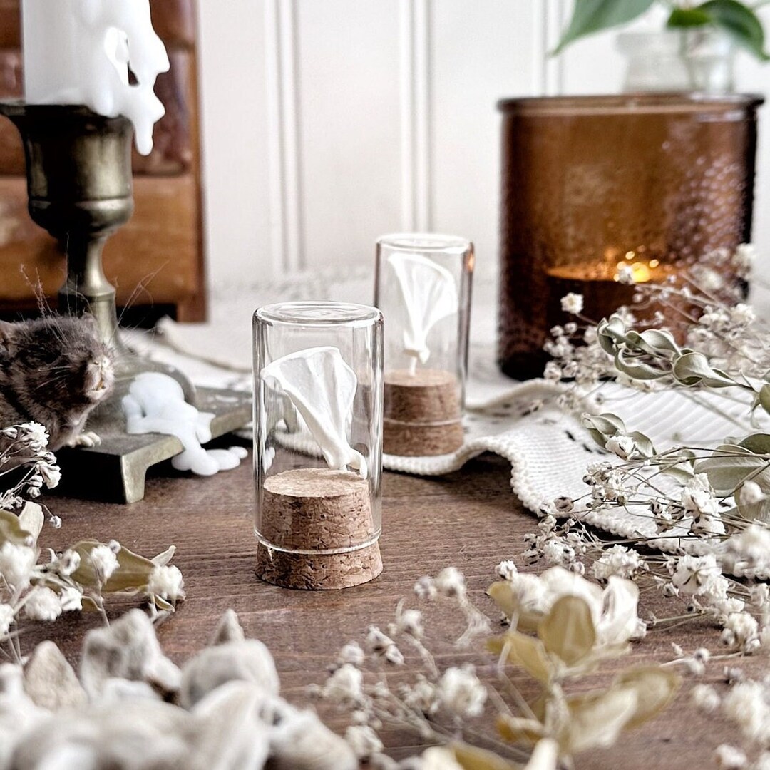 Real Gopher Scapula Bone in Glass Vial, Squirrel Bones, Natural History ...