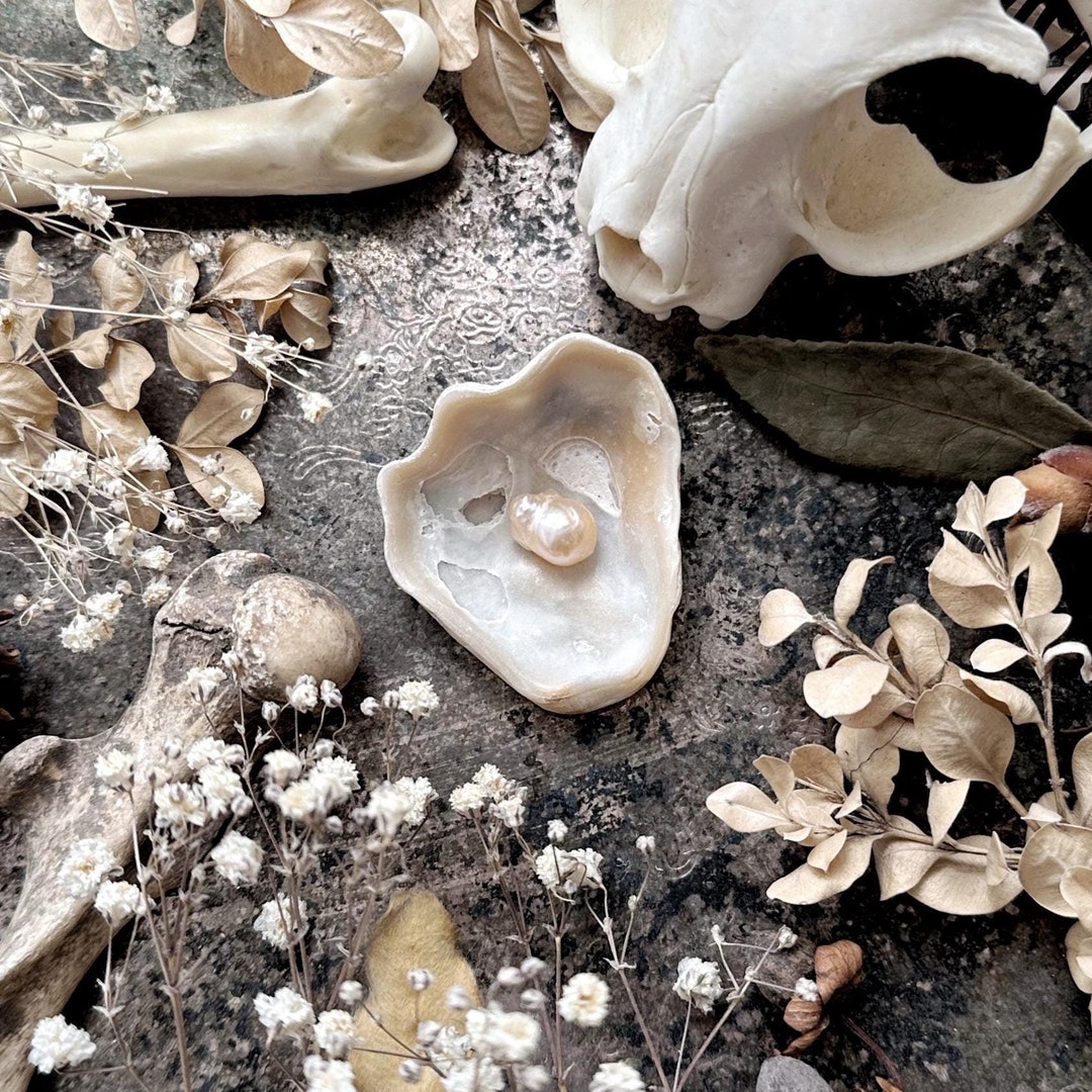 Natural Freshwater Pearl in Oyster Shell – No. 21, Natural History ...