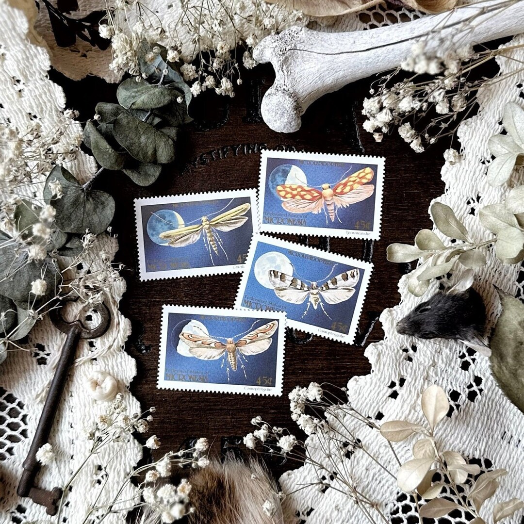 Vintage Moth Stamps – No. 23, Micronesia 1990, Natural History, Vintage ...