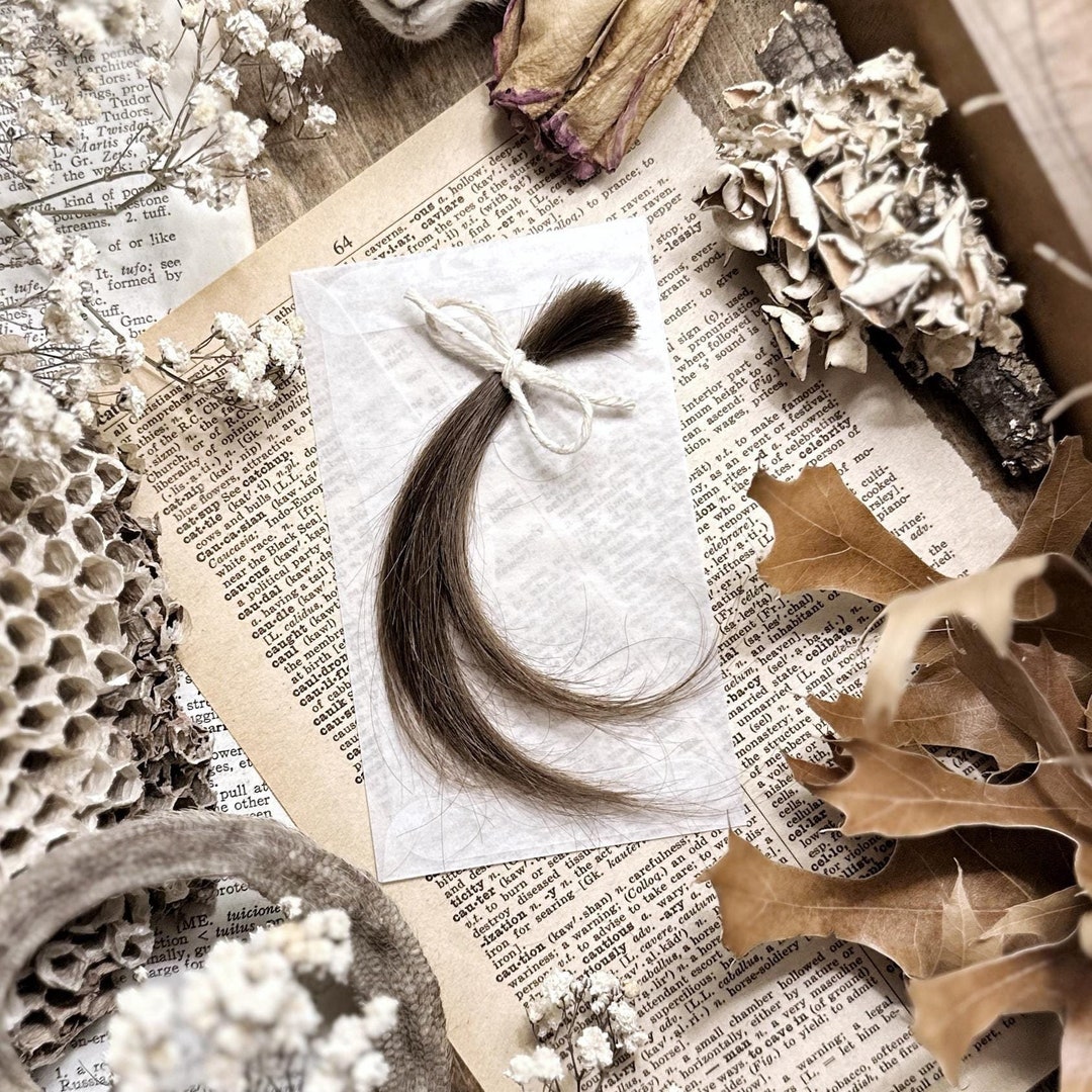 Real Lock of Human Hair – No. 01, Natural Human Hair, Real Haircut ...