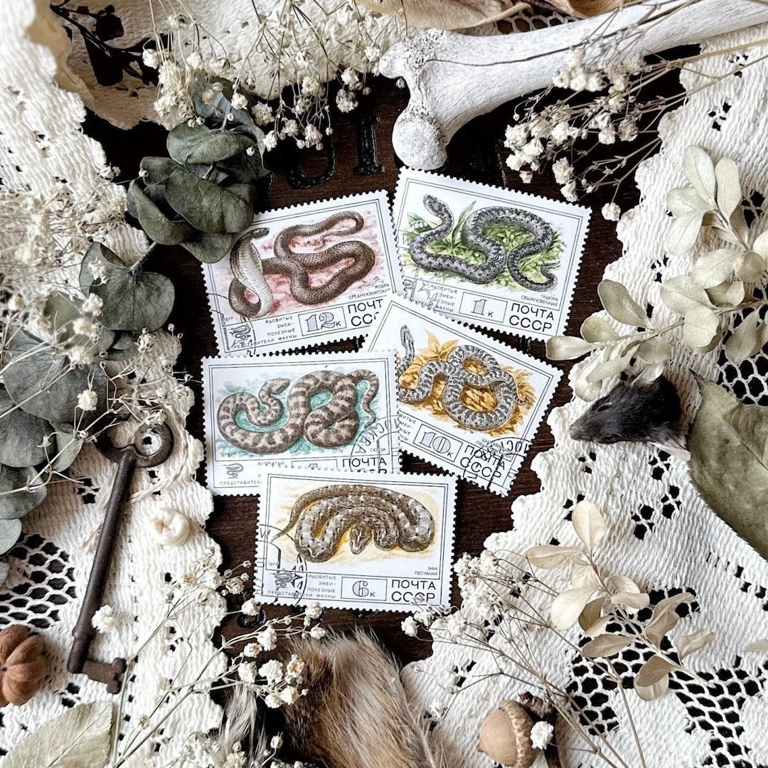 Vintage Snake Stamps – No. 02, Natural History, Vintage Snake Stamps ...