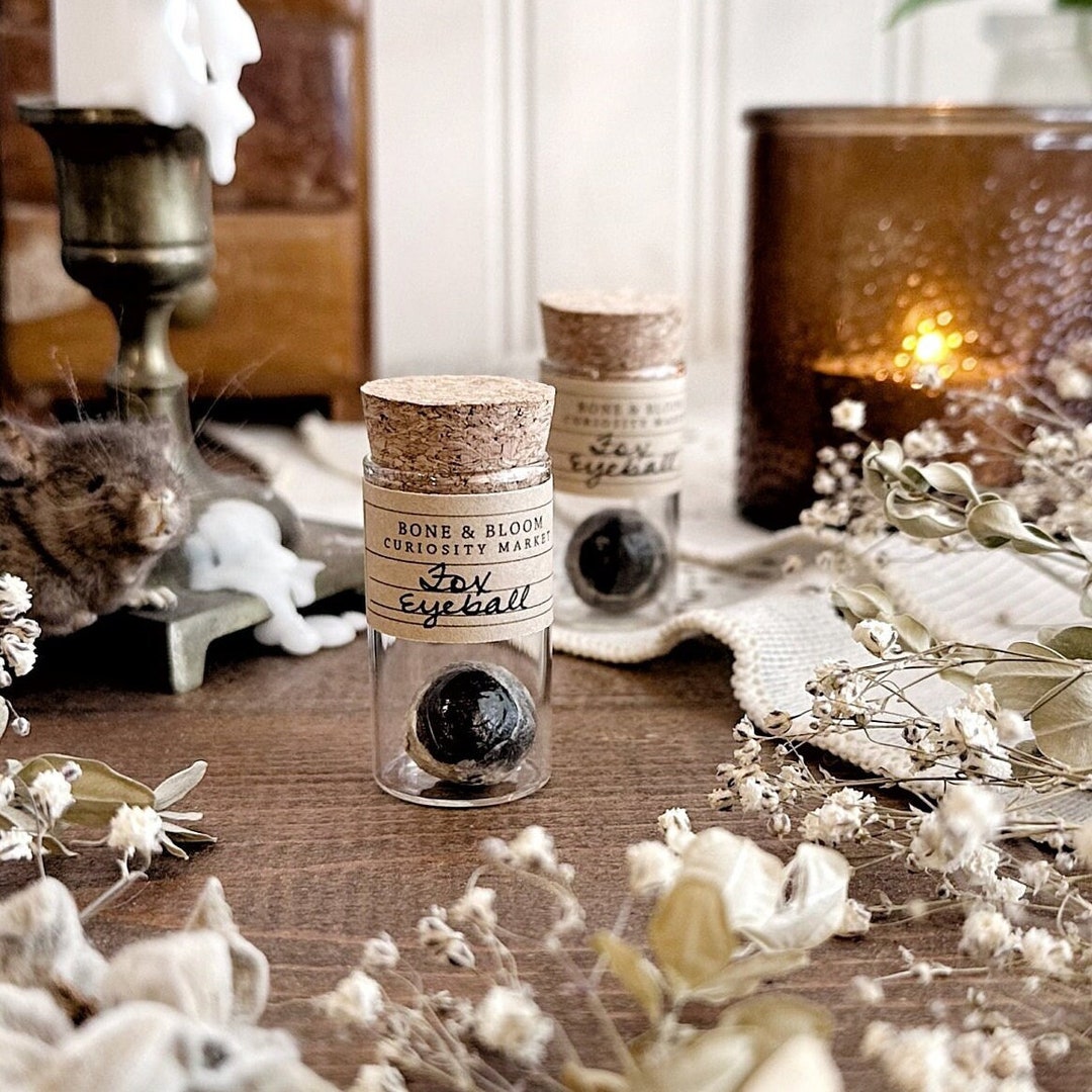 Mummified Fox Eyeball in Glass Vial, Real Dried Eyeball, Natural ...