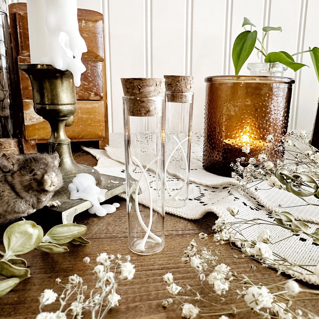 Real Boa Constrictor Rib Bones in Glass Vial – No. 01, Snake Bones ...