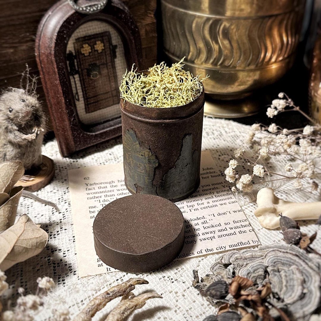 Vintage Rusty Snuff Tin, Dried Lichen – No. 02, Vintage Metal Tin ...