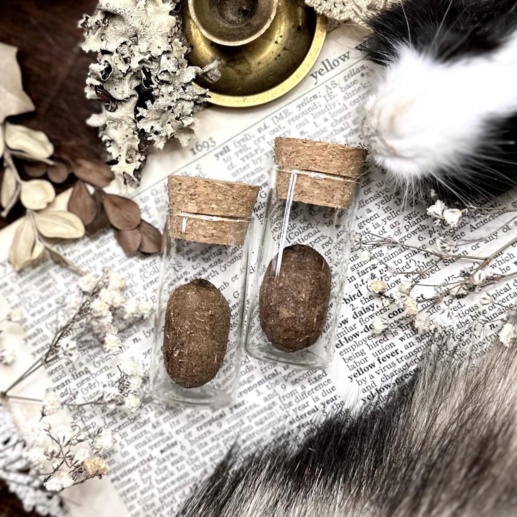 Real Moose Pellet in Glass Vial, Moose Poop, Animal Dung, Weird Gift ...