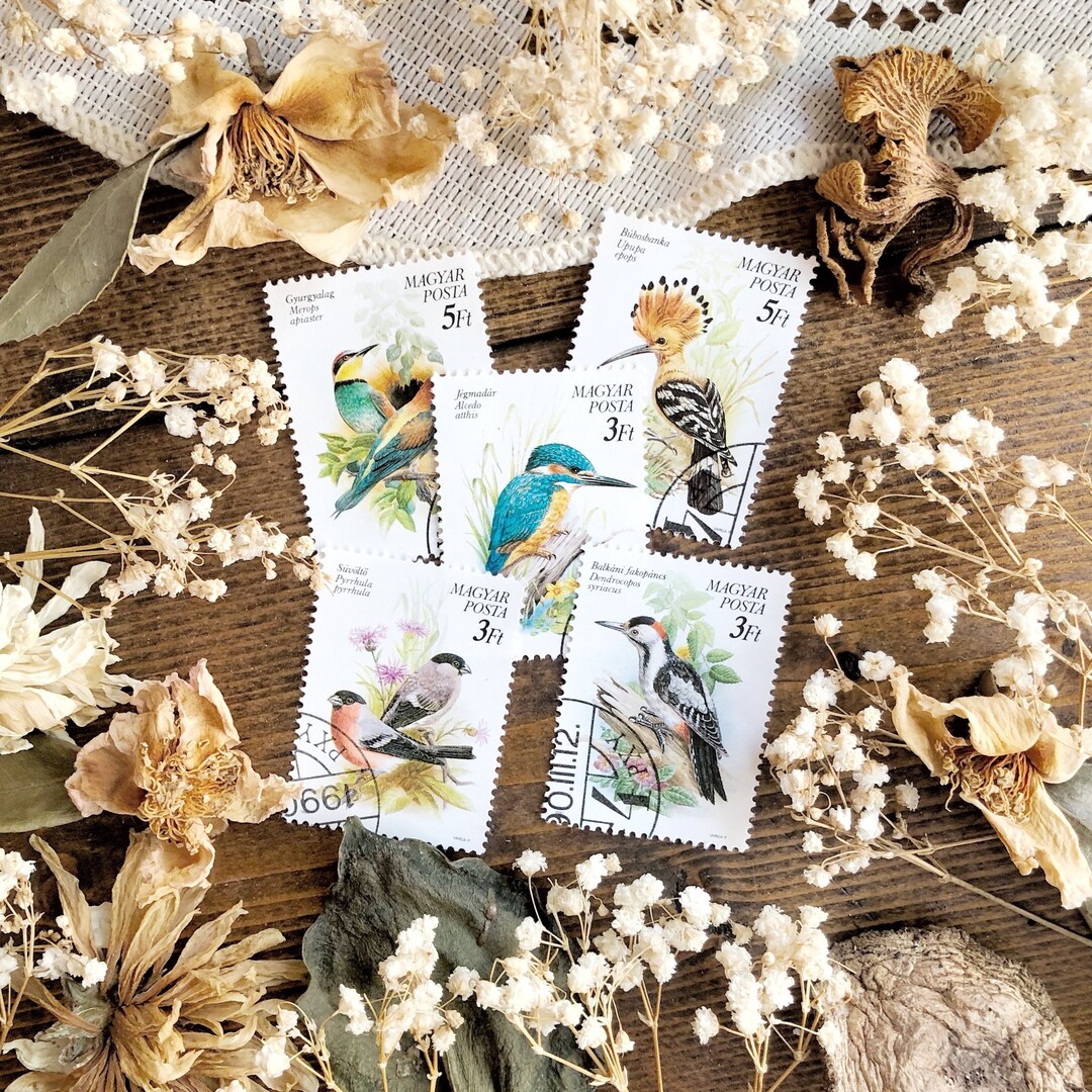 Vintage Bird Stamps – No. 02, Hungary 1990, Natural History, Vintage ...