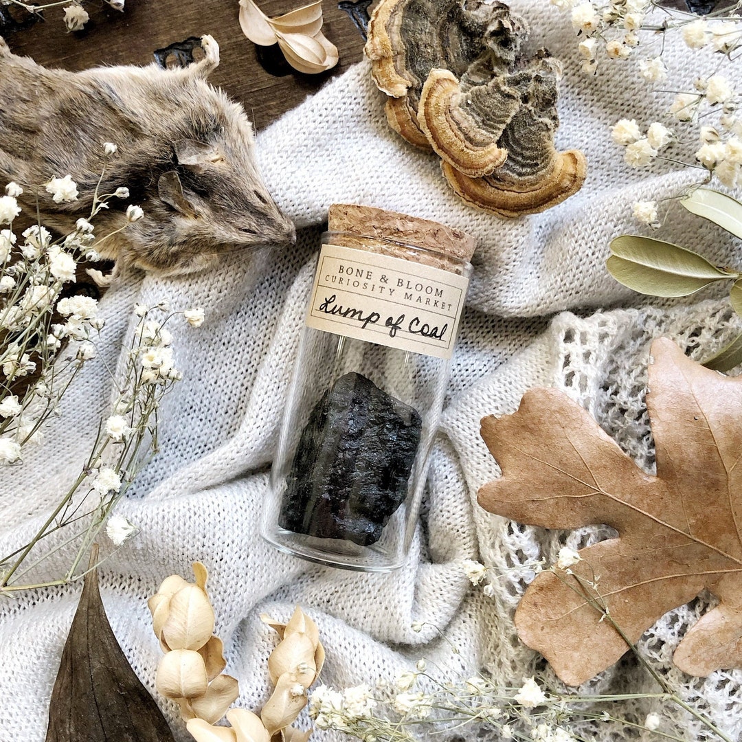 Real Lump of Coal in Glass Vial – No. 04, Christmas Gift, Naughty Gift ...