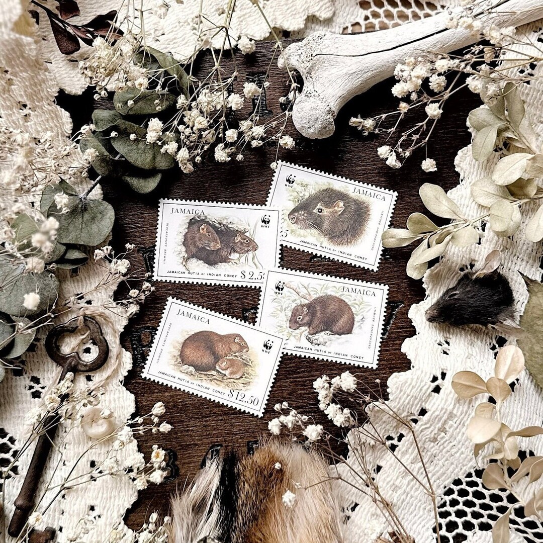 Vintage Rat Stamps – No. 15, Jamaica 1996, Natural History, Animal ...