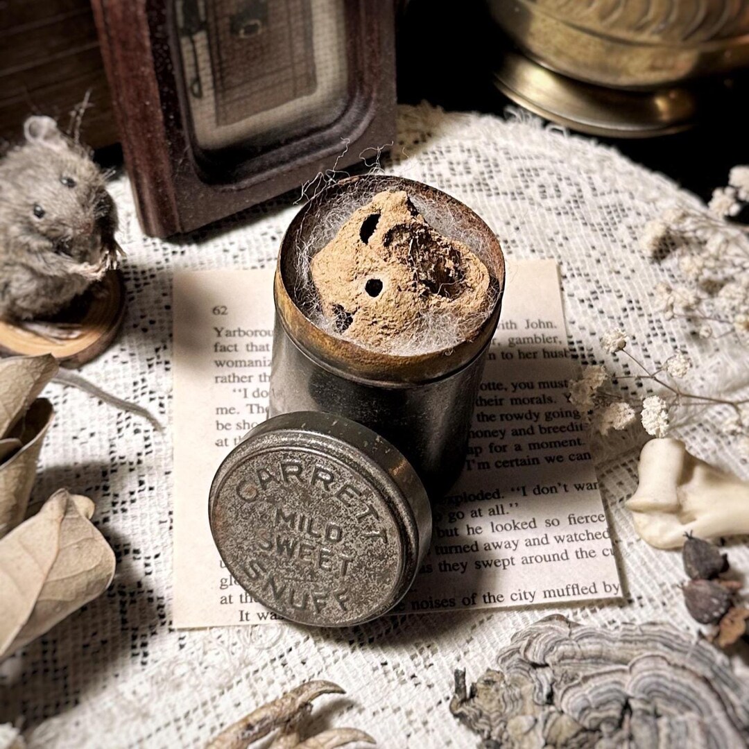 Vintage Snuff Tin With Dirt Dobber Nest – No. 02, Vintage Metal Tin ...