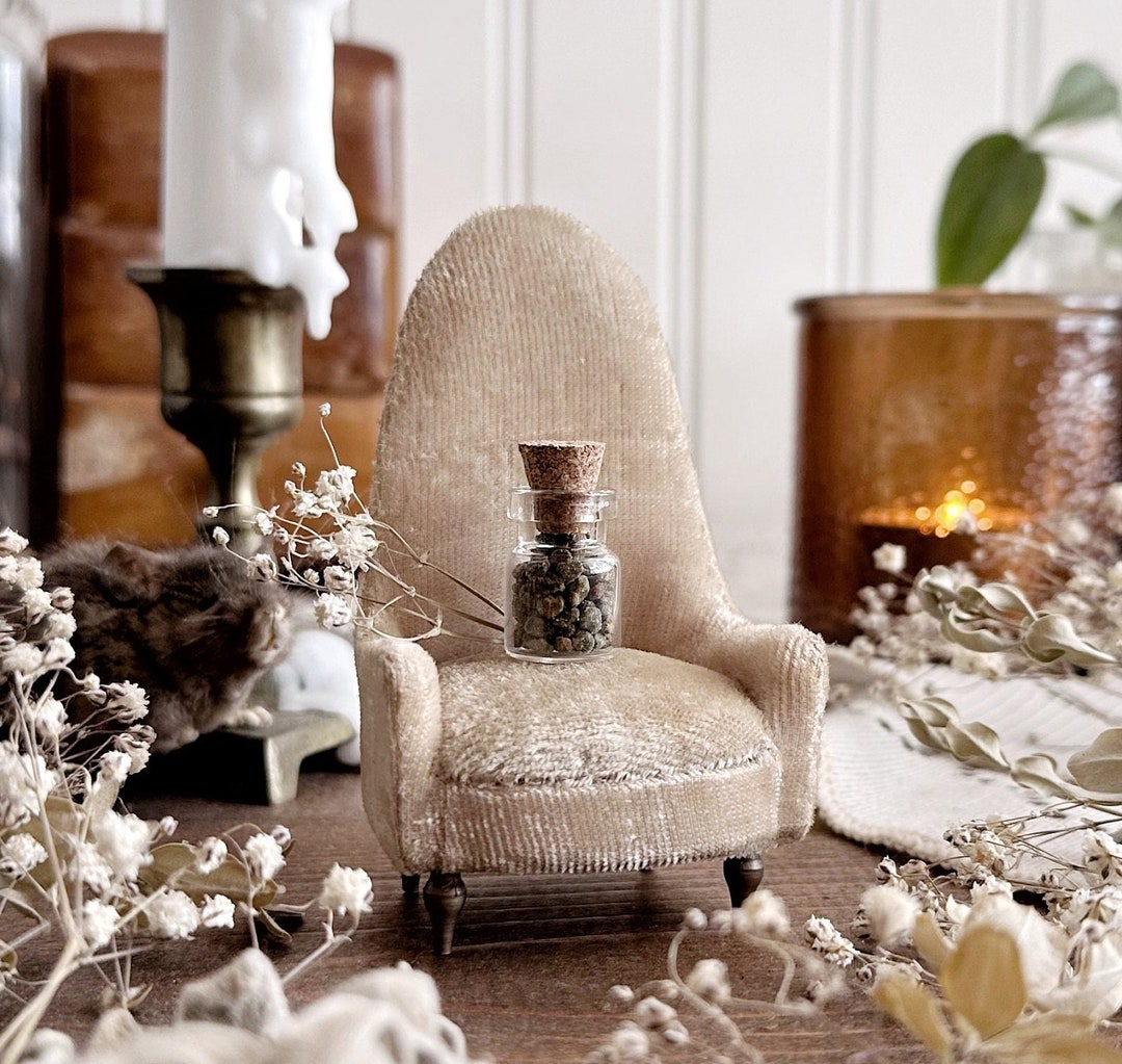 Dark Bee Pollen in Tiny Vial, Honey Bee Decor, Natural History ...