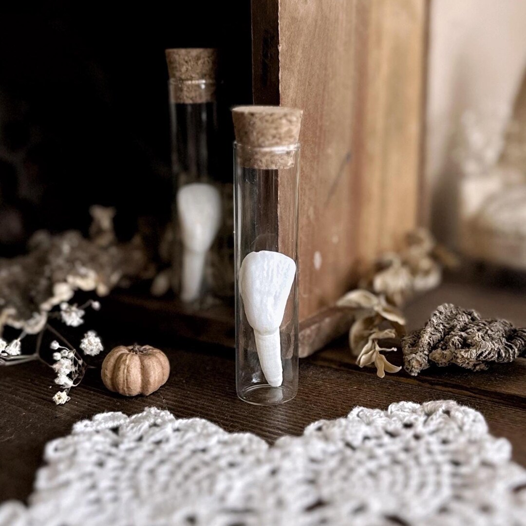 Real Bison Tooth in Glass Vial – No. 02, Real Buffalo Tooth, Natural ...