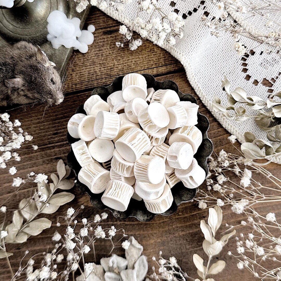 Set of 5 Real Small Fish Vertebrae Bones, Real Fish Bones, Fish ...