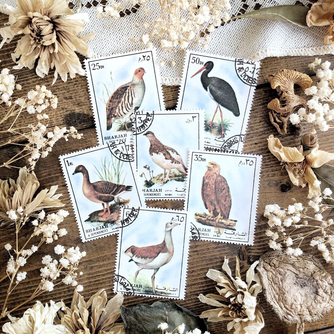 Vintage Bird Stamps No. 18 Sharjah 1982 Natural History - Etsy
