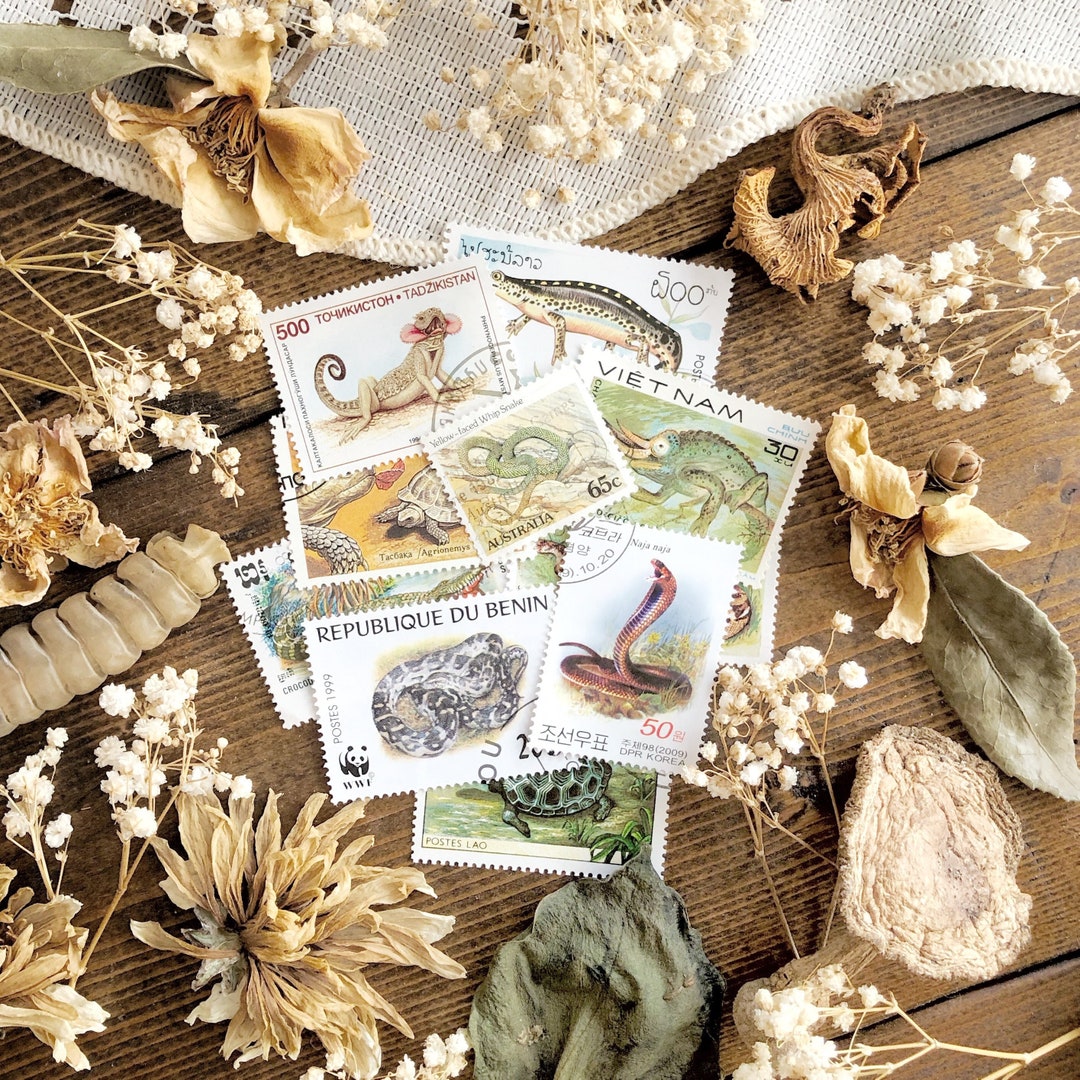 Mystery Collection Vintage Reptile Stamps – No. 01, Natural History ...