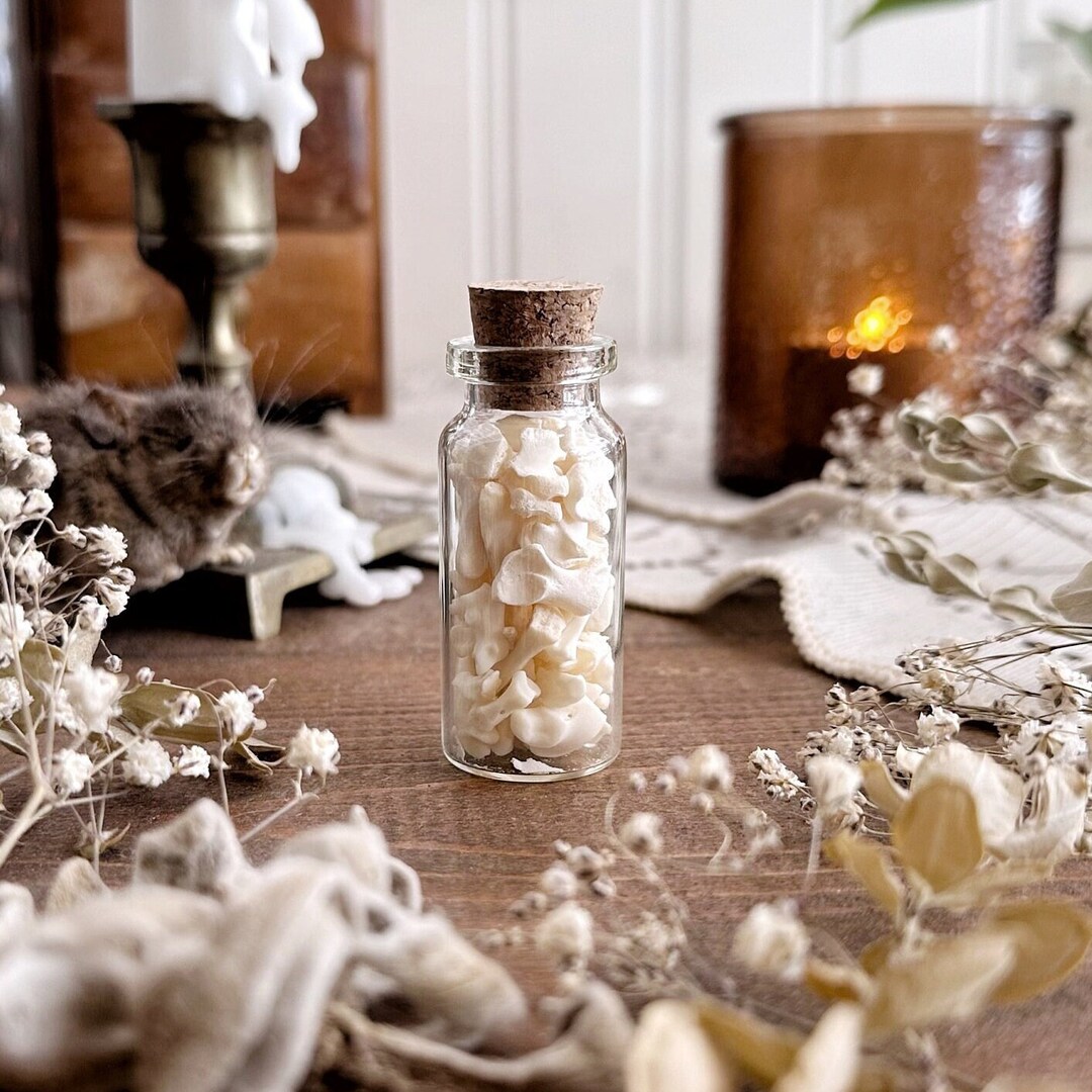 Real Tiny Bones in Glass Vial, Mystery Bones, Natural History ...
