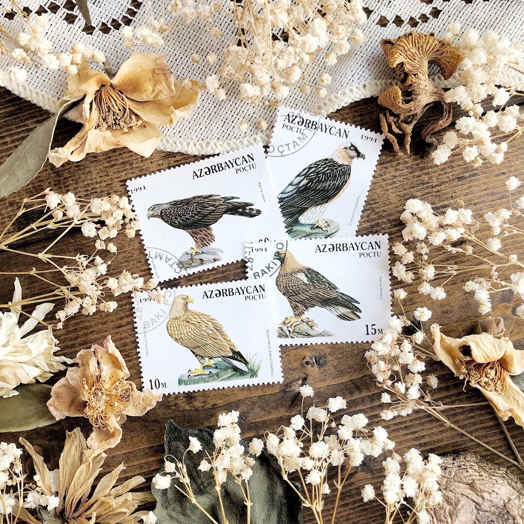 Vintage Bird Stamps – No. 13, 1994, Natural History, Vintage Falcon ...