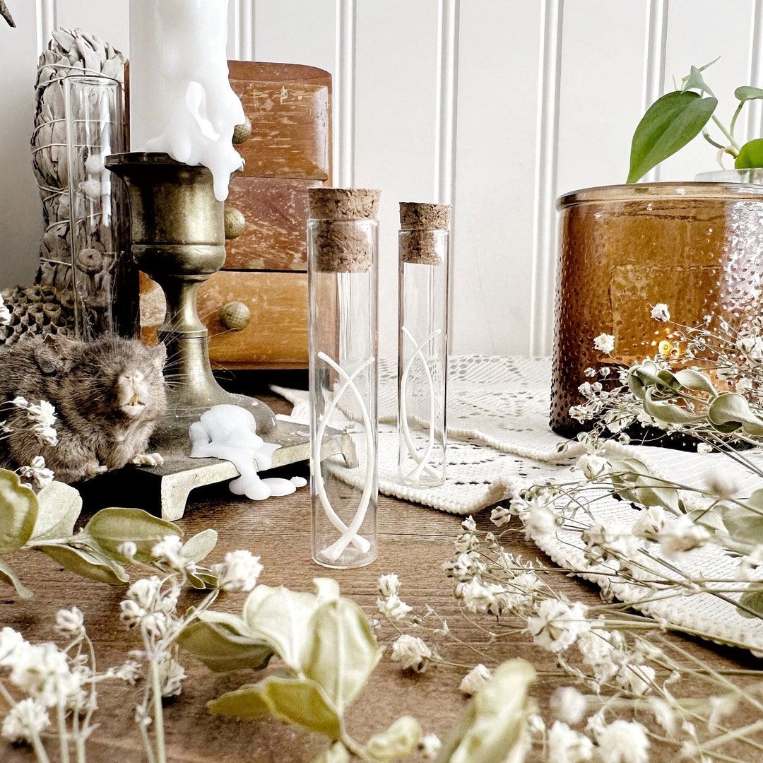 Petite Boa Constrictor Rib Bones in Glass Vial No. 02, Snake Bones ...