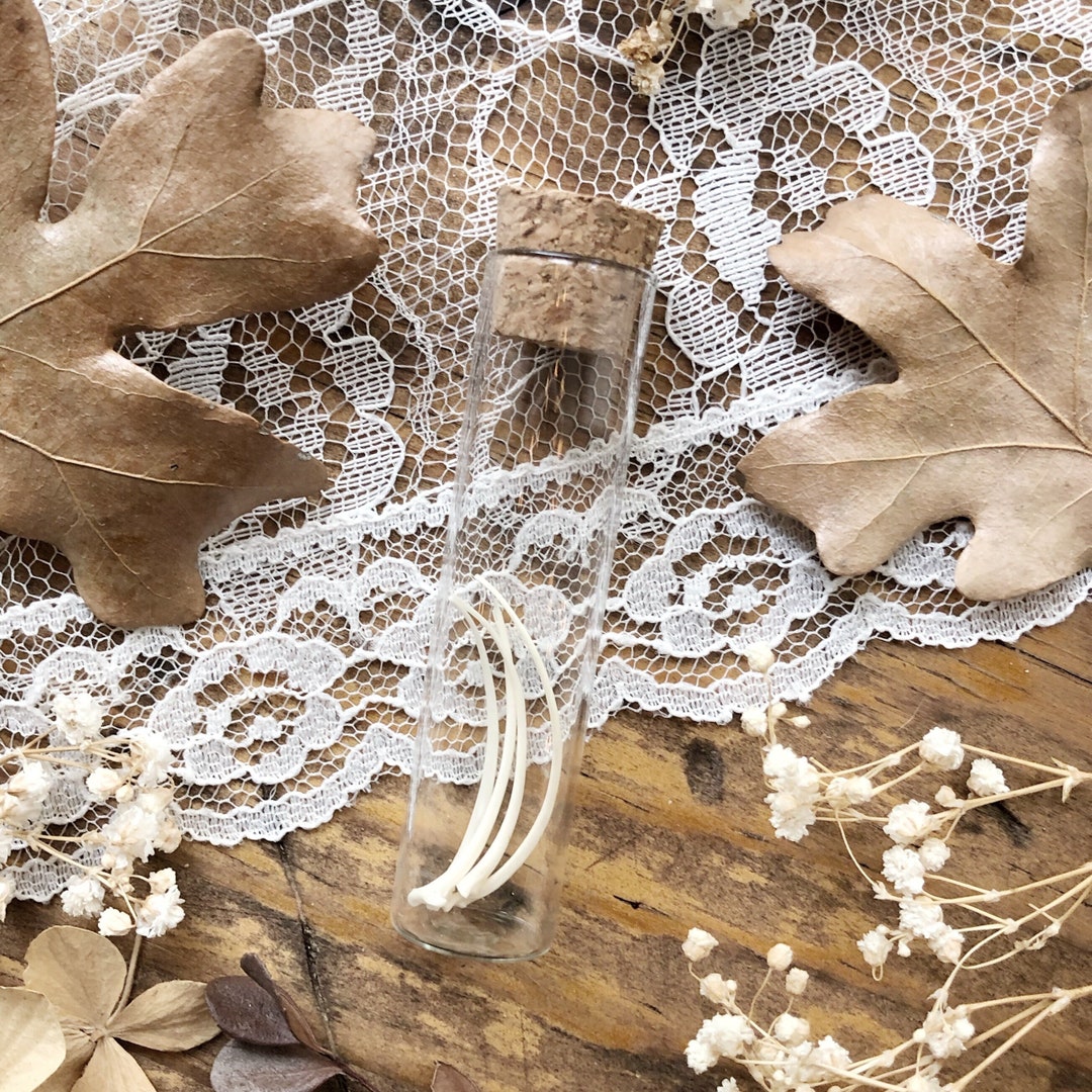 Petite Ball Python Snake Rib Bones in Glass Vial No. 03 - Etsy