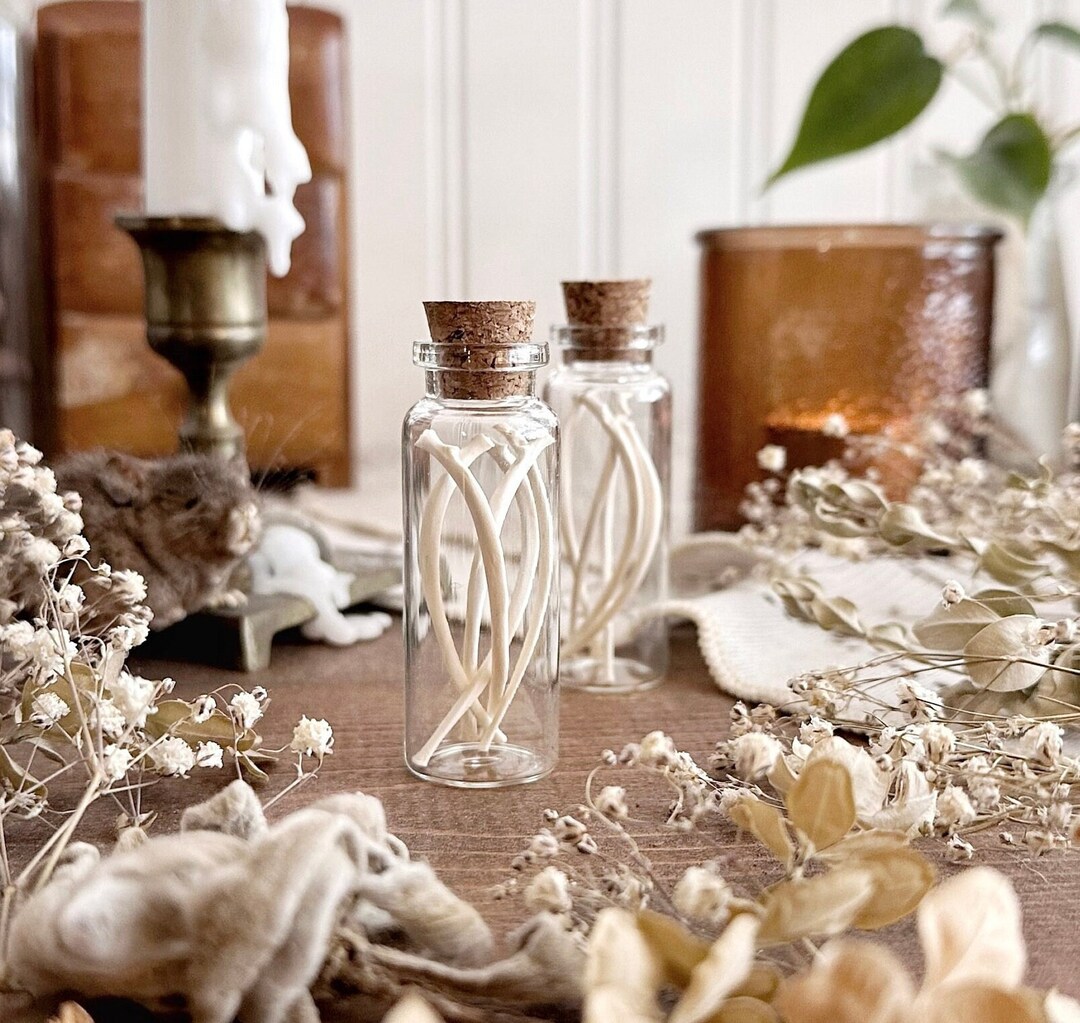 Real Rabbit Rib Bones in Glass Vial – No. 02, Rabbit Decor, Natural ...