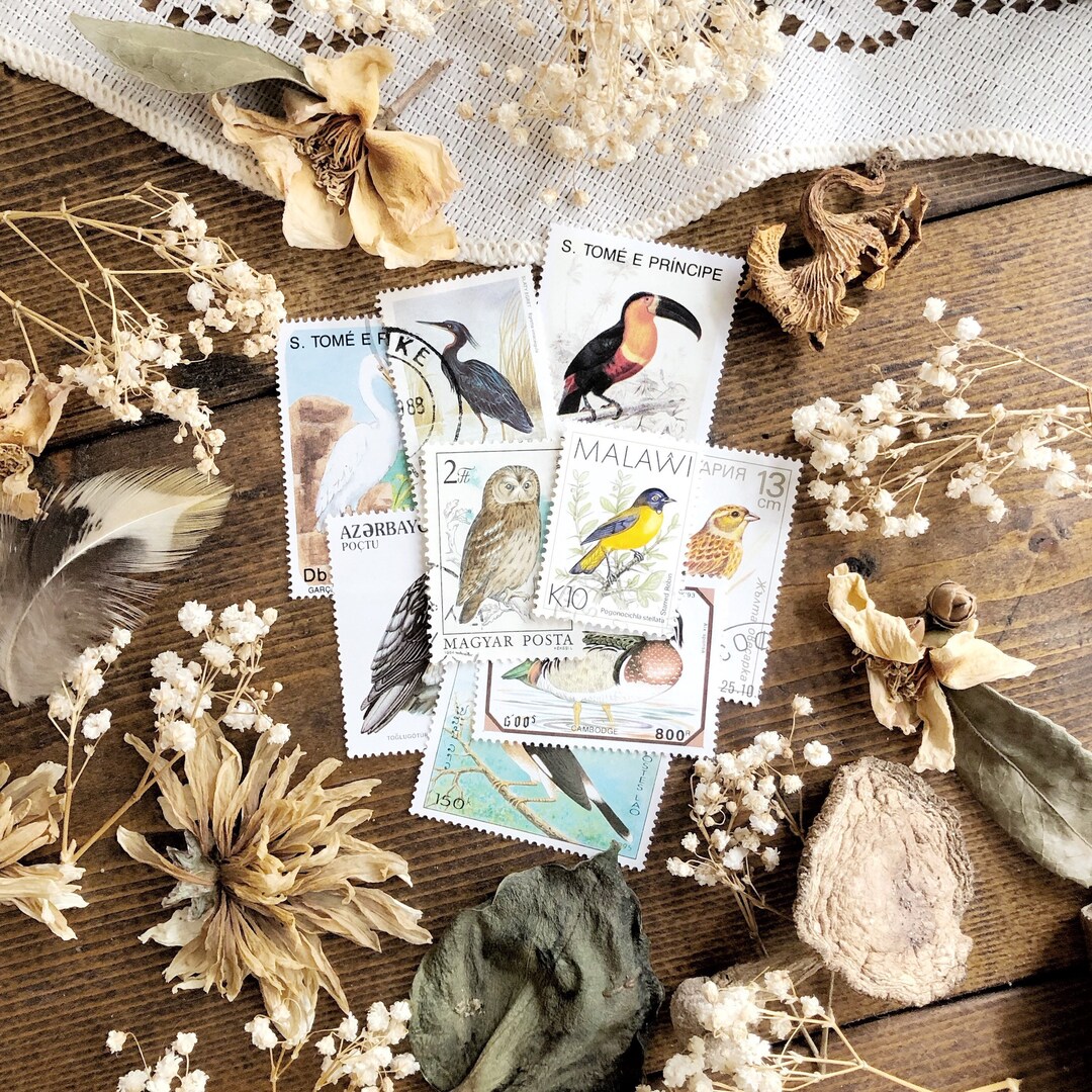 Mystery Collection Vintage Bird Stamps No. 01, Natural History, Vintage ...