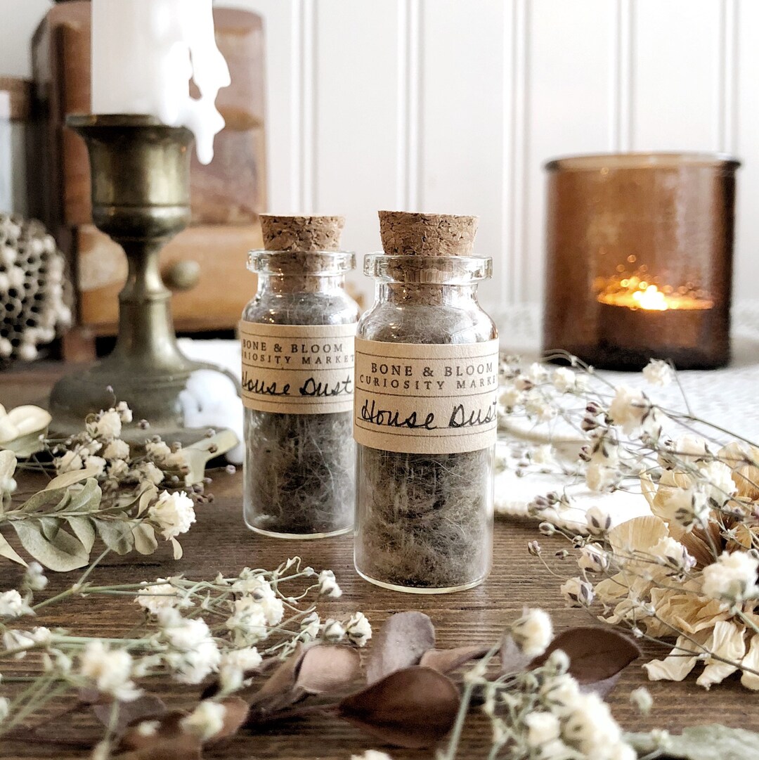 House Dust in Glass Vial, Strange Decor, Real Dust, Weird Gift, Altar ...