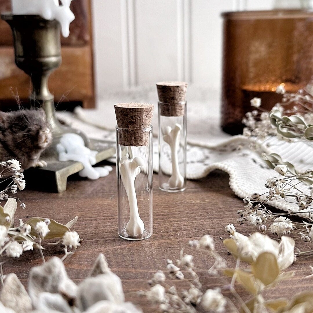 Real Gopher Femur Bone in Glass Vial, Natural History, Curiosity ...