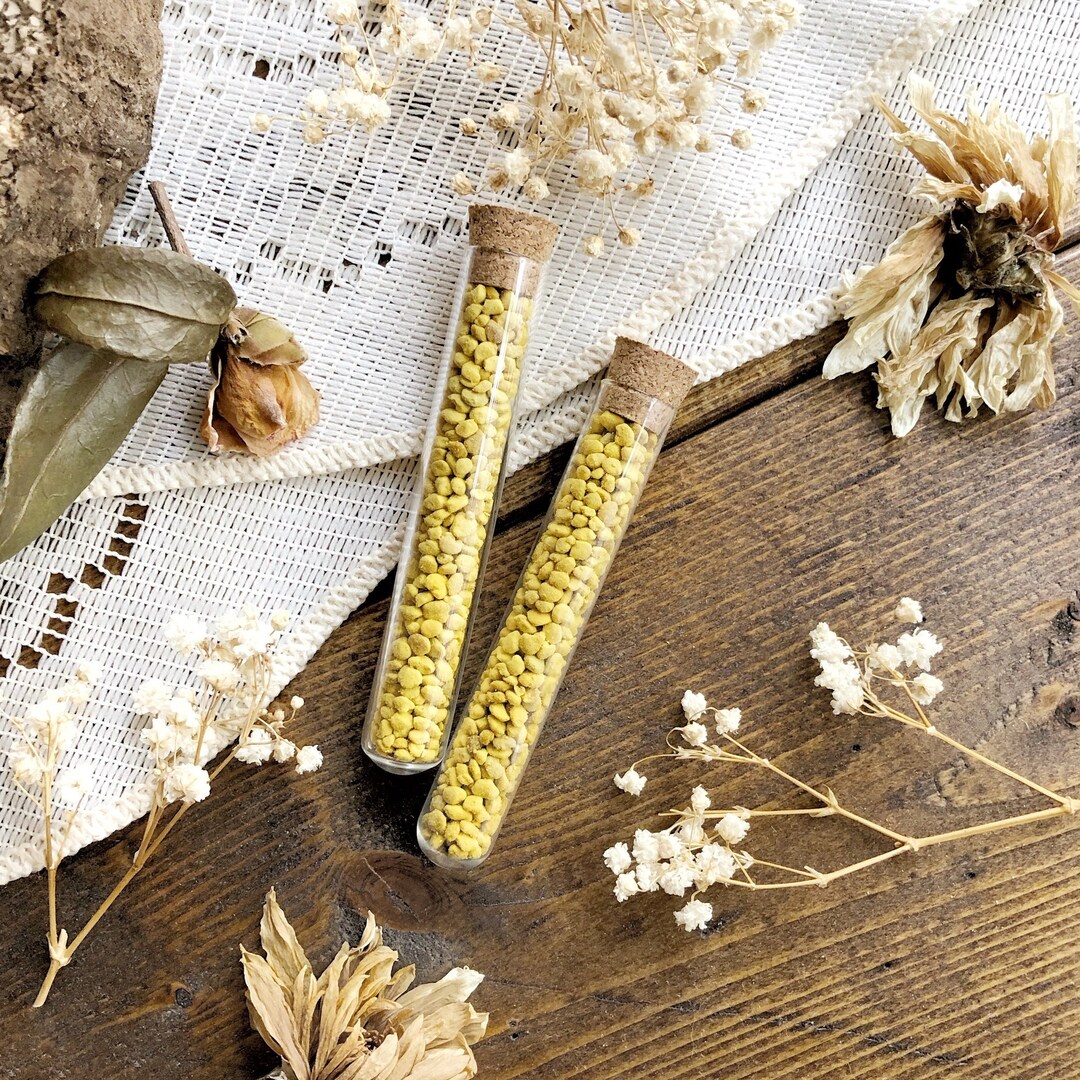 Real Bee Pollen in Glass Vial, Dried Pollen, Natural History, Farmhouse ...