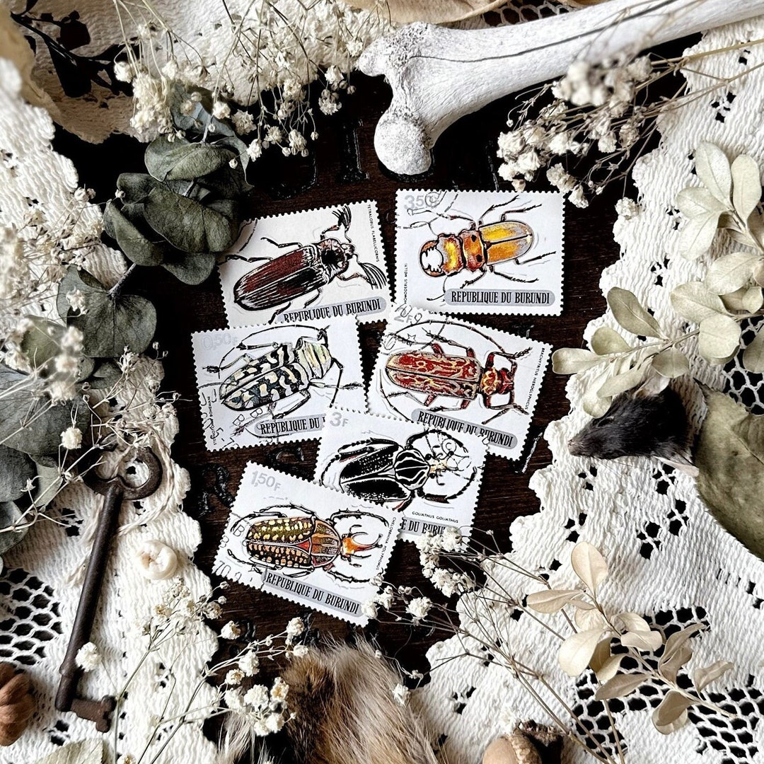 Vintage Beetle Stamps No. 07 1970 Natural History Animal - Etsy