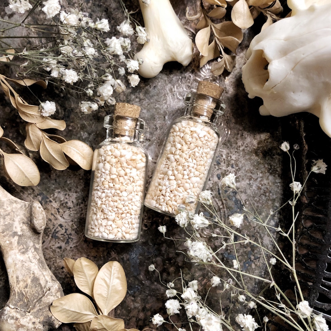 Hand Sorted Star Sand in Glass Vial, Real Sand From Okinawa Japan ...