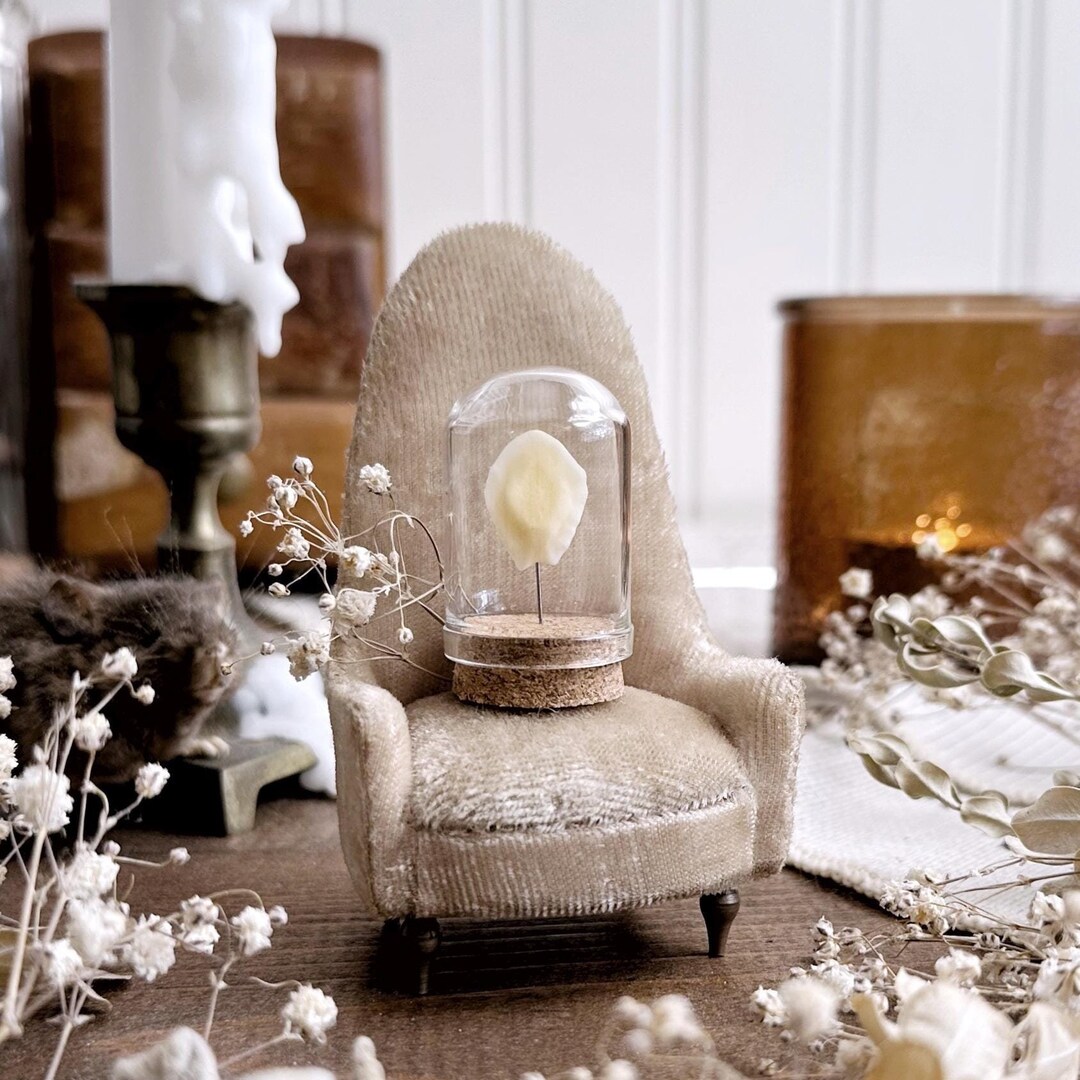 Ravioli Shaped Alligator Gar Bone in Glass Dome, Fish Gar Bones ...