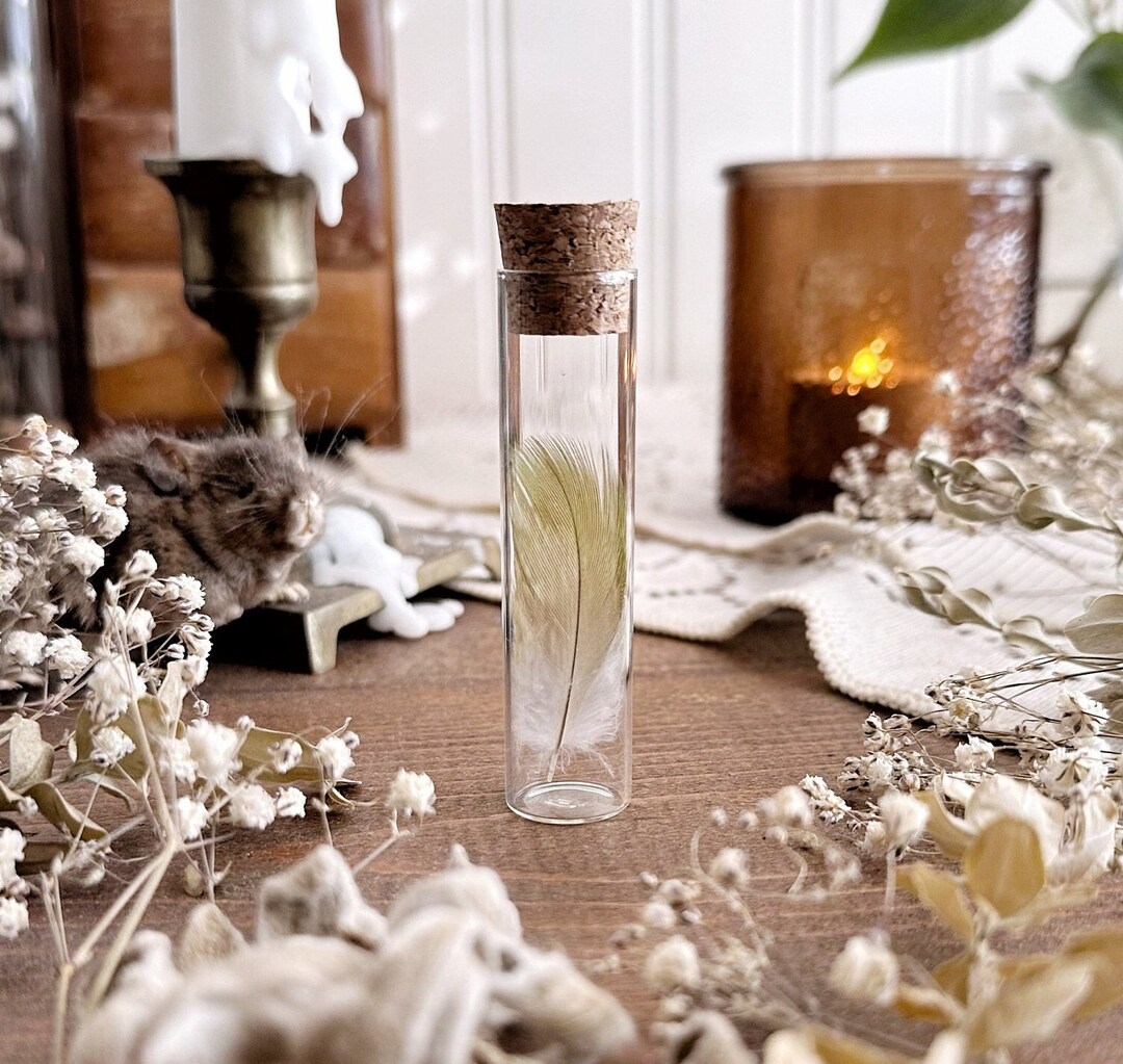 Petite Green Macaw Feather in Glass Vial, Real Feathers, Parrot Feather ...