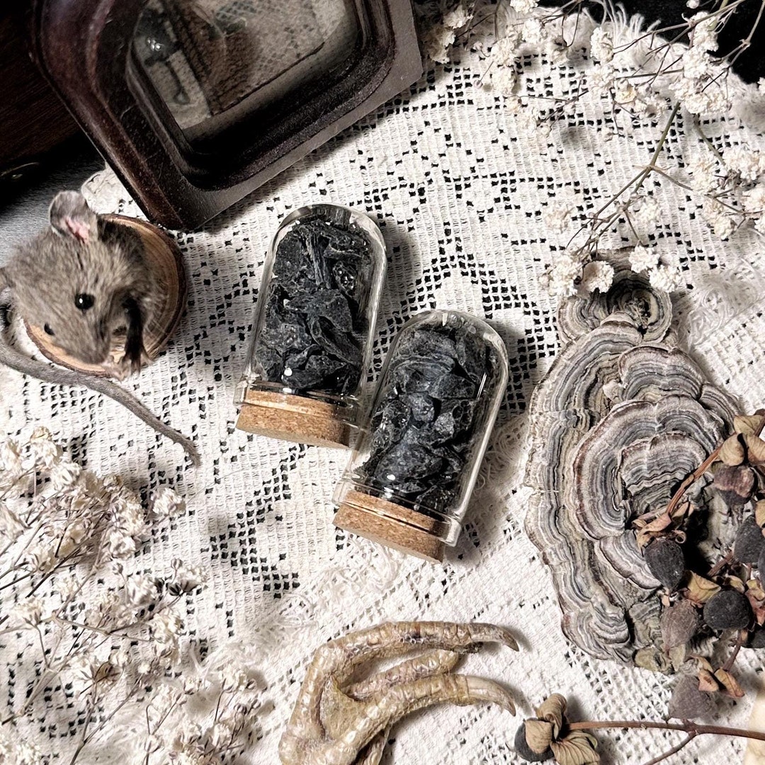 Real Tektite Stones in Glass Dome – No. 01, Meteorite Stone, Natural ...