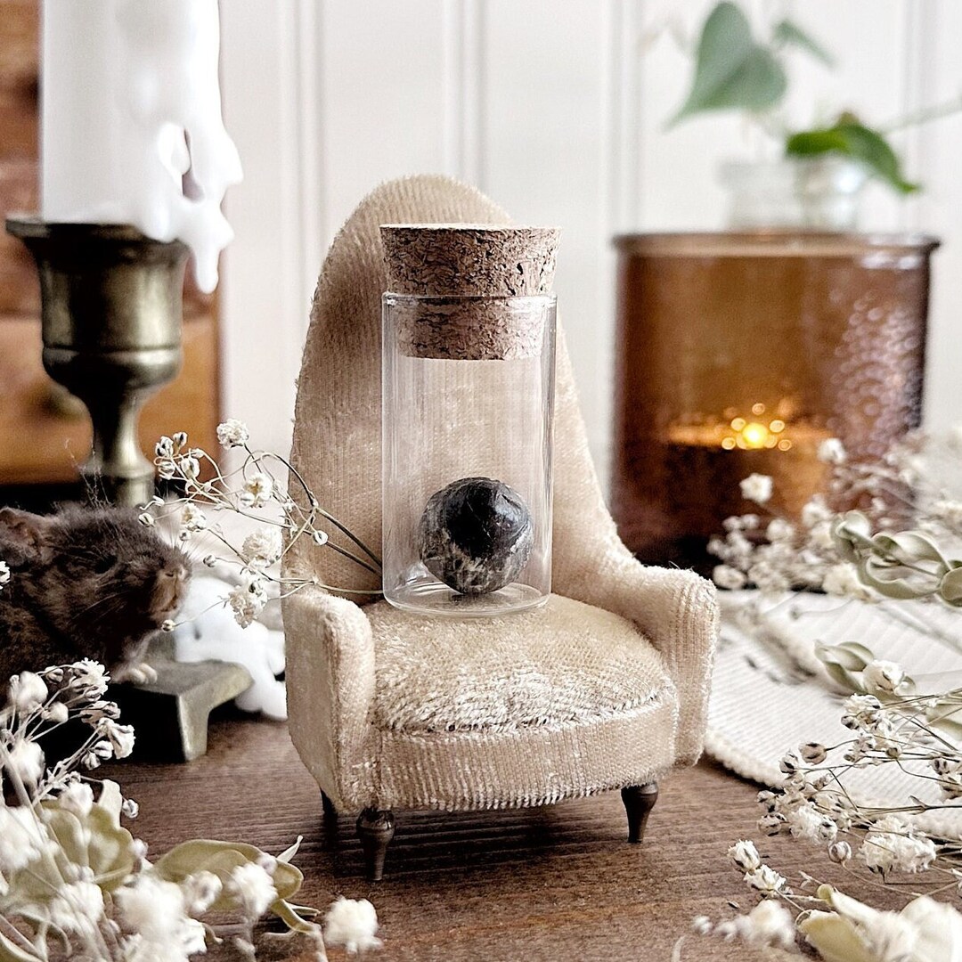 Mummified Jack Rabbit Eyeball in Glass Vial, Real Dried Eyeball ...